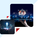 SAP Application Management Services(AMS) Support | SAP AMS Solutions