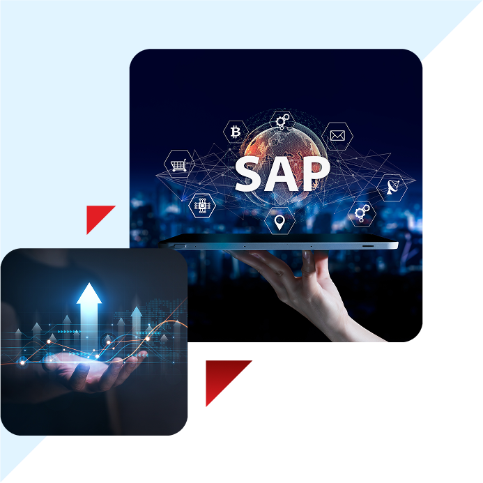SAP Application Management Services(AMS) Support | SAP AMS Solutions